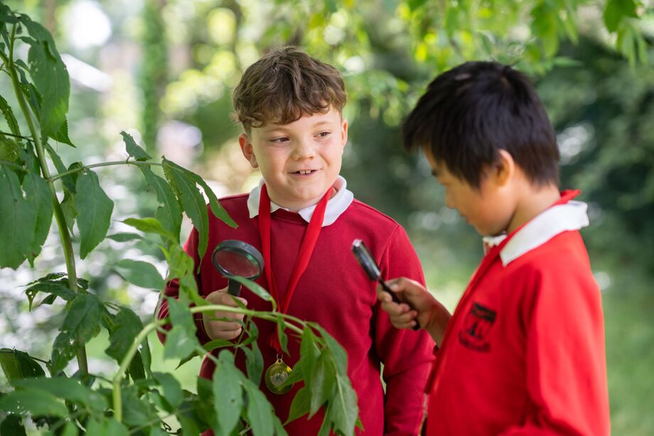 Welcome to our new website - News - Heybridge Primary School