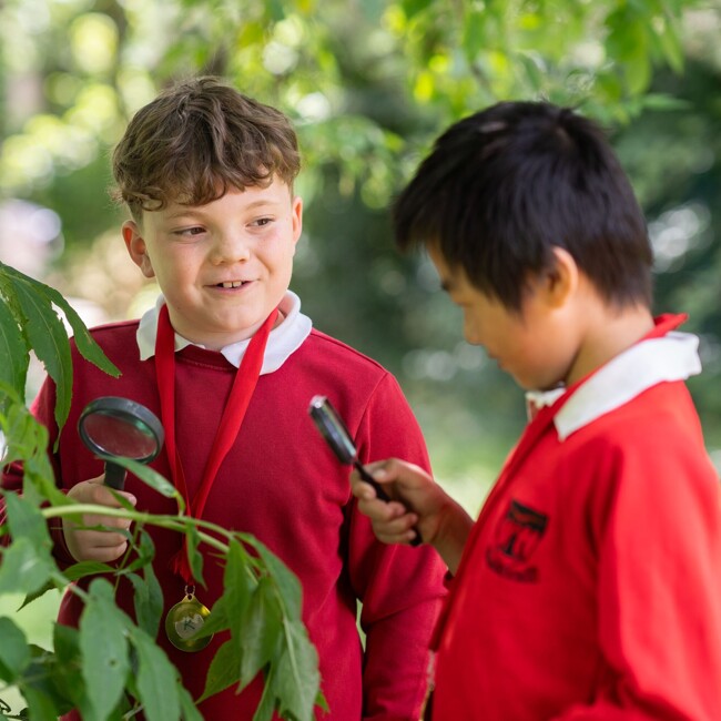 Wellbeing - Heybridge Primary School